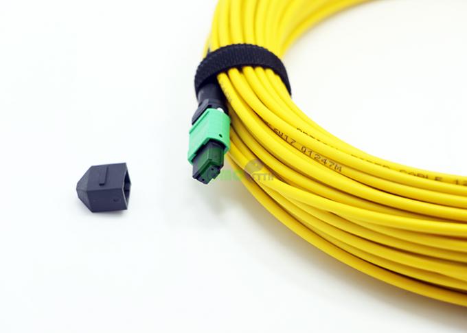 MTP Trunk Cable 12 Fibers Elite MTP female to MTP female 3.0mm LSZH ...