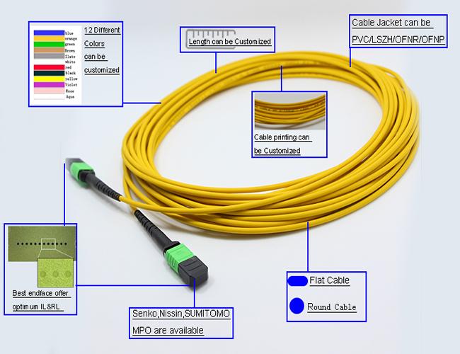 MTP Trunk Cable 12 Fibre 9 / 125μm MTP to MTP Female OS2 LSZH Type B SM ...