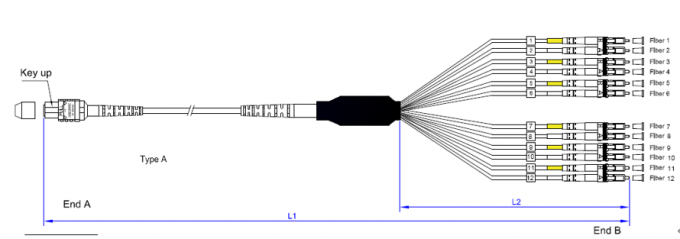 MPO LC Standard Harness Cable Assembly 12 Cores MPO Female To 6 LC Duplex