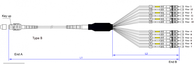 MPO LC Standard Harness Cable Assembly 12 Cores MPO Female To 6 LC Duplex