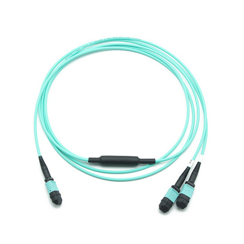100Gbps 24F 50/125 OM3 LSZH MPO Standard loss 24F MPO (Female) to 2 x ...
