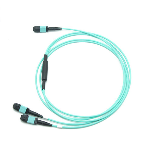 100Gbps 24F 50/125 OM3 LSZH MPO Standard loss 24F MPO (Female) to 2 x ...