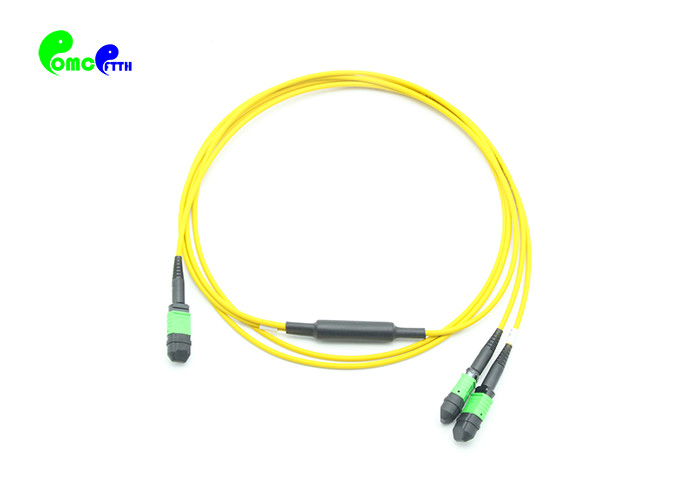 2 Meter Standard Loss Senko 24F MPO (F) to 2 X 12F MPO(F) Trunk Cable ...