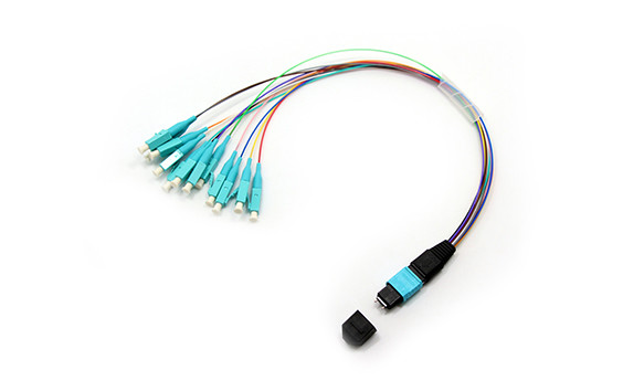 12 cores MTP ( male ) - LC Fanout 0.9mm 30cm OM3 10G - 100G for MTP-LC ...