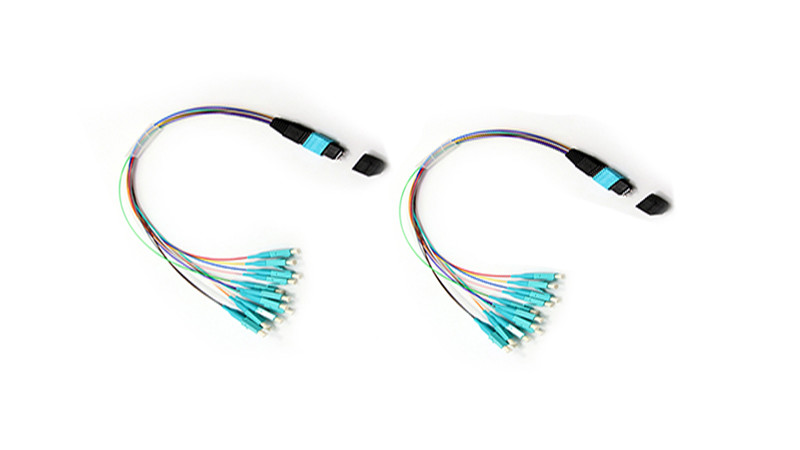 12 cores MTP ( male ) - LC Fanout 0.9mm 30cm OM3 10G - 100G for MTP-LC ...